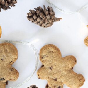 Nuestros Productos | HUIPI Antojos Saludables